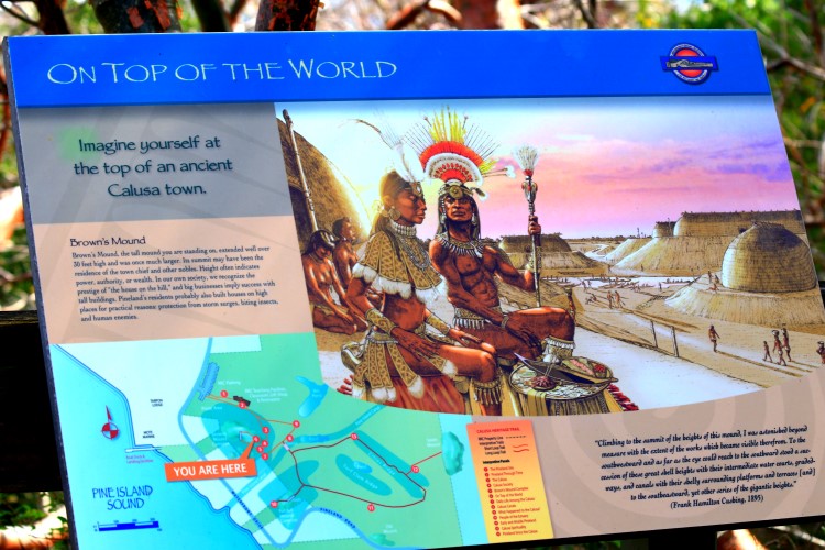 Native American Calusa of Florida | ReFLocate.com